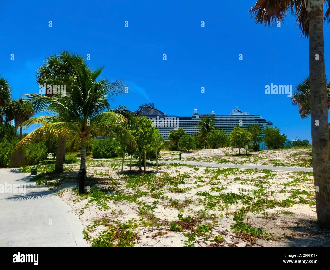The white sand beach on Ocean Cay island Stock Photo - Alamy