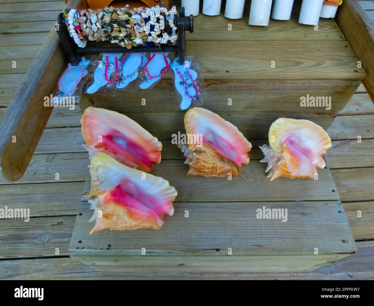 Shop sea shells hi-res stock photography and images - Alamy