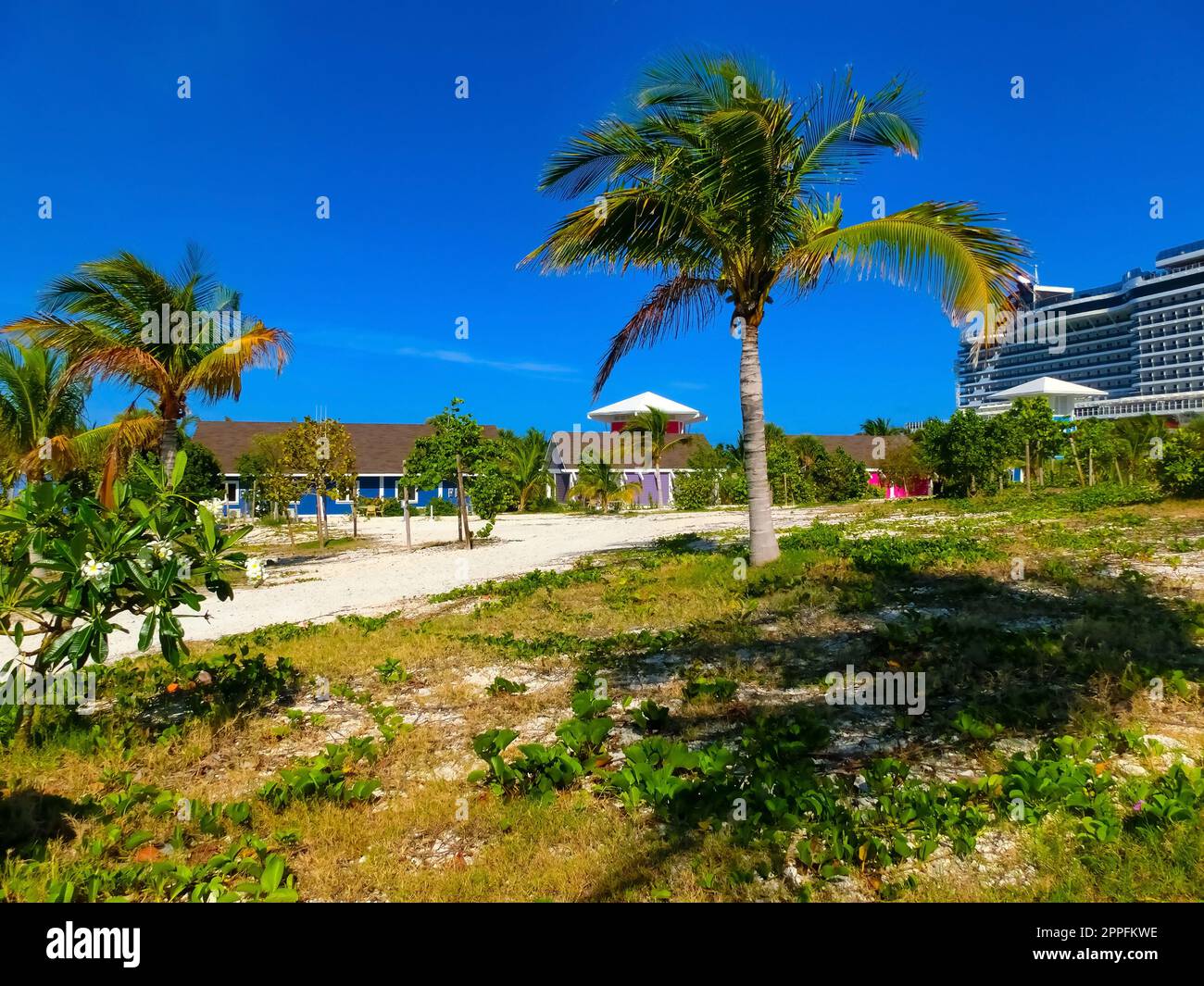 The white sand beach on Ocean Cay island Stock Photo - Alamy