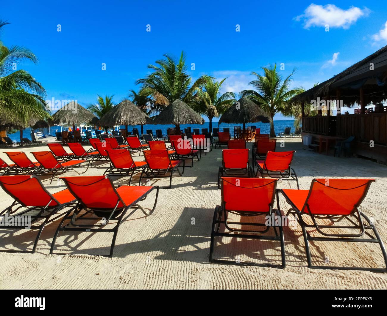 View of a tropical beach in Roatan Honduras Stock Photo - Alamy