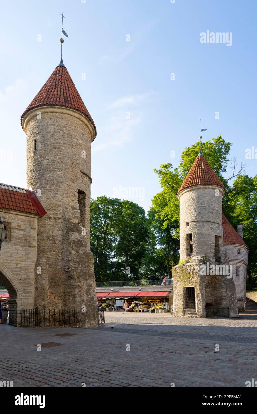 Viru culture hi-res stock photography and images - Alamy