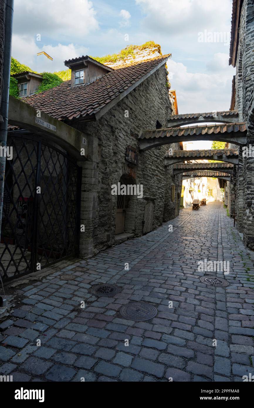 Katariina hi-res stock photography and images - Alamy