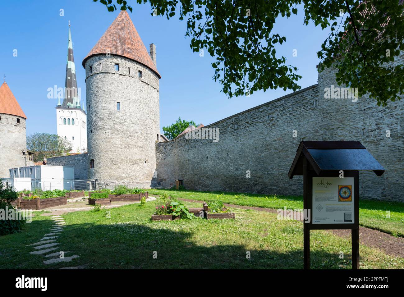 The old town community garden in Tallinn, Estonia Stock Photo - Alamy