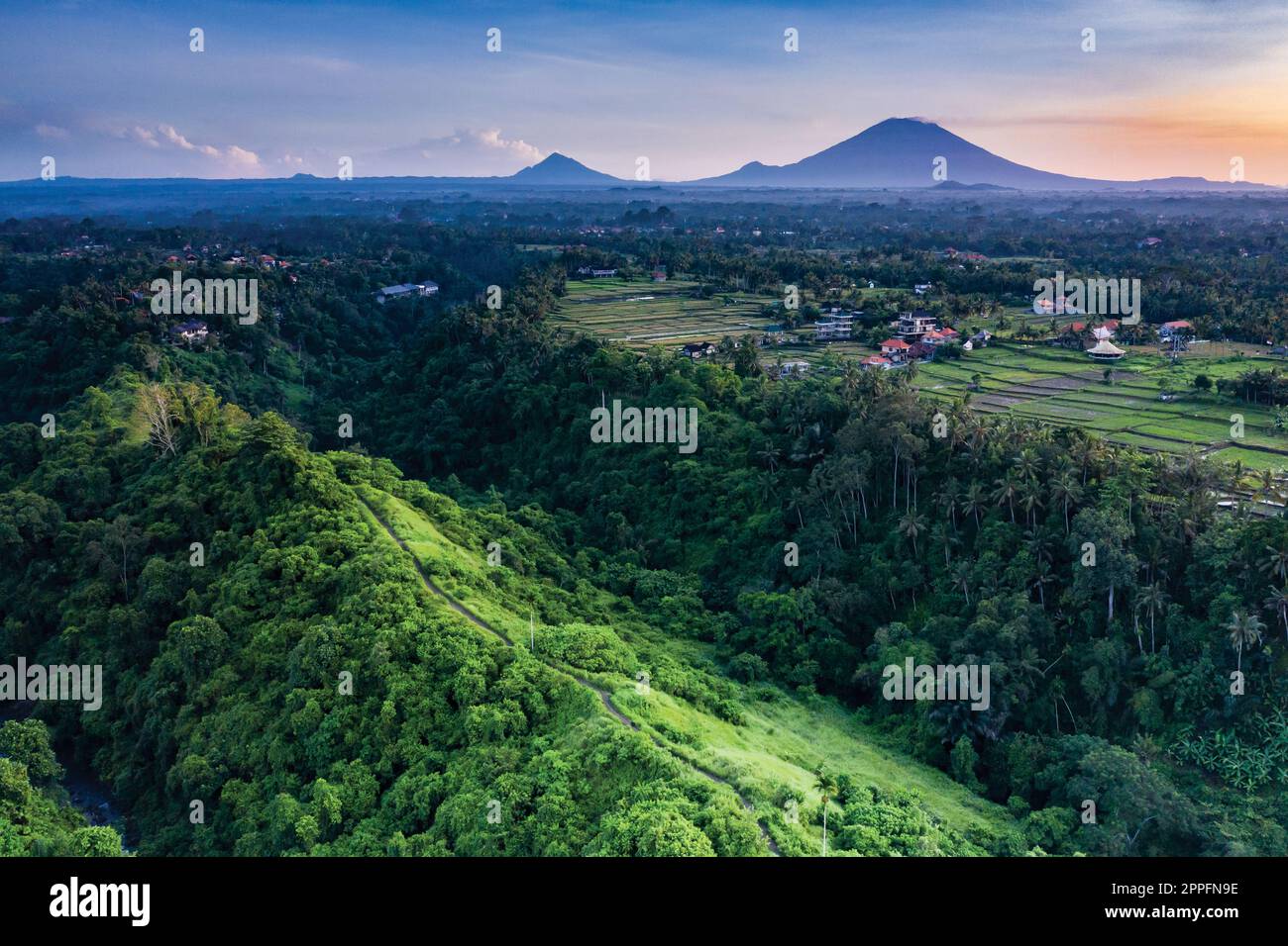 Campuhan Ridge near Ubud in Bali Indonesia Stock Photo - Alamy