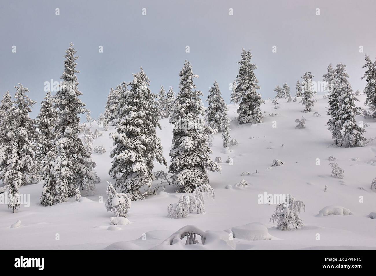Northern finland hi-res stock photography and images - Alamy