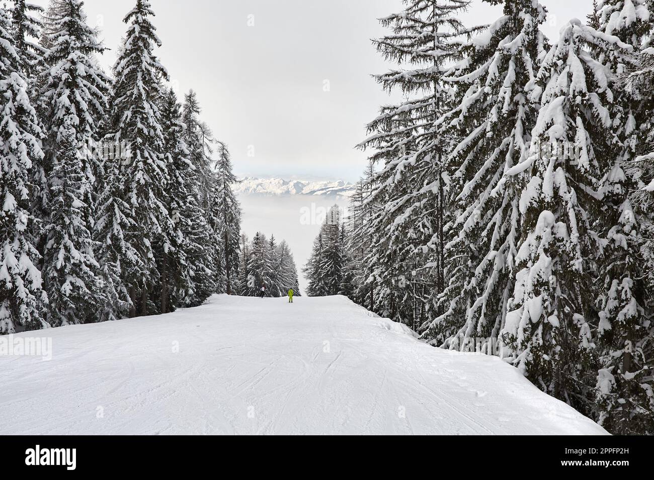 Alpine landscape with deep snow and forest trail hi-res stock ...