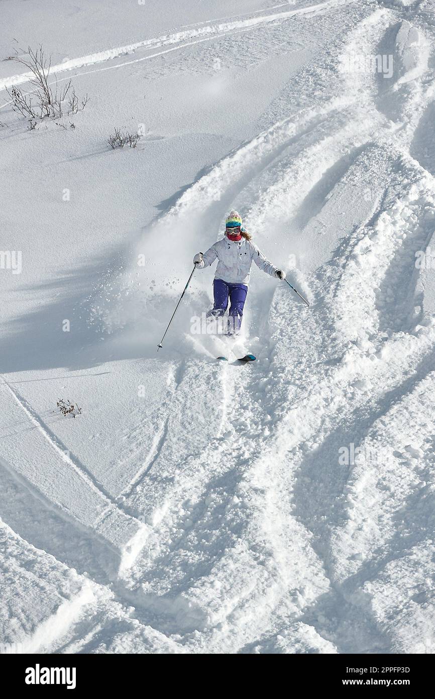 Skiing in fresh powder snow Stock Photo - Alamy