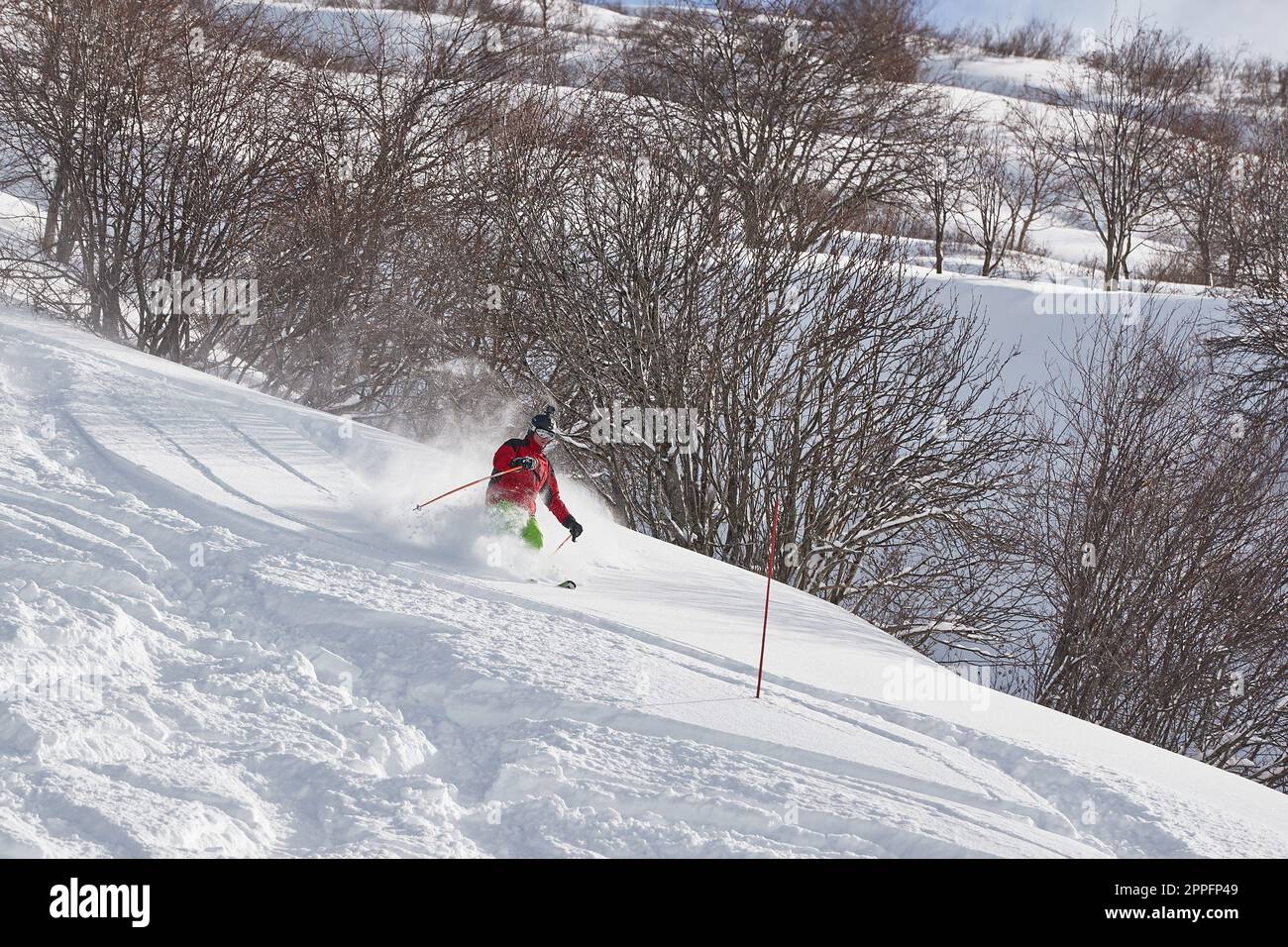 Skiing in fresh powder snow Stock Photo - Alamy