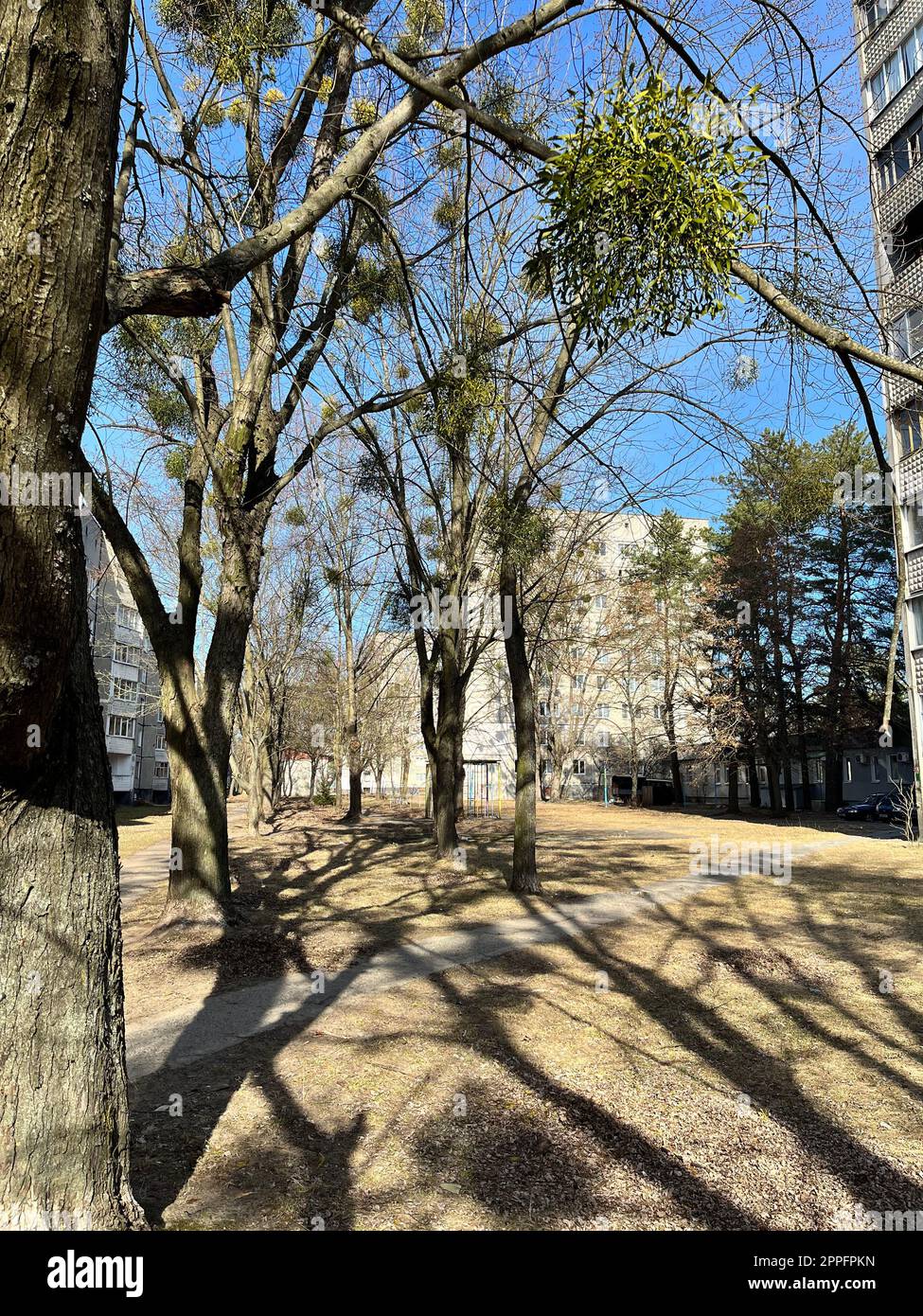 Sponge city tree hi-res stock photography and images - Alamy