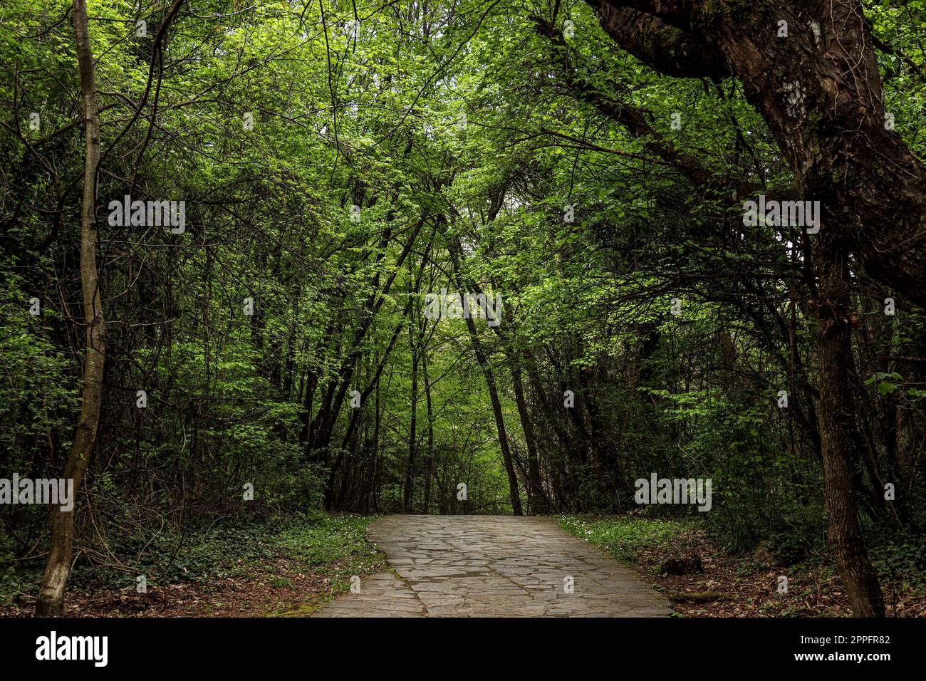 Midday silhouette hi-res stock photography and images - Alamy