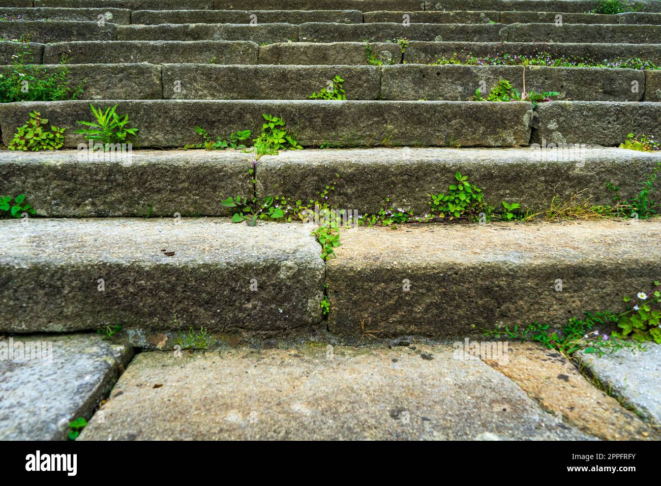 Brick walkway overgrown grass hi-res stock photography and images - Alamy