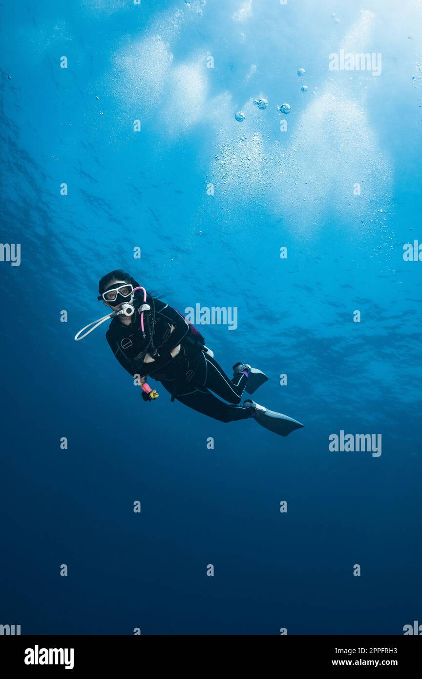 diver floating in the clear waters of the Gulf of Thailand Stock Photo ...