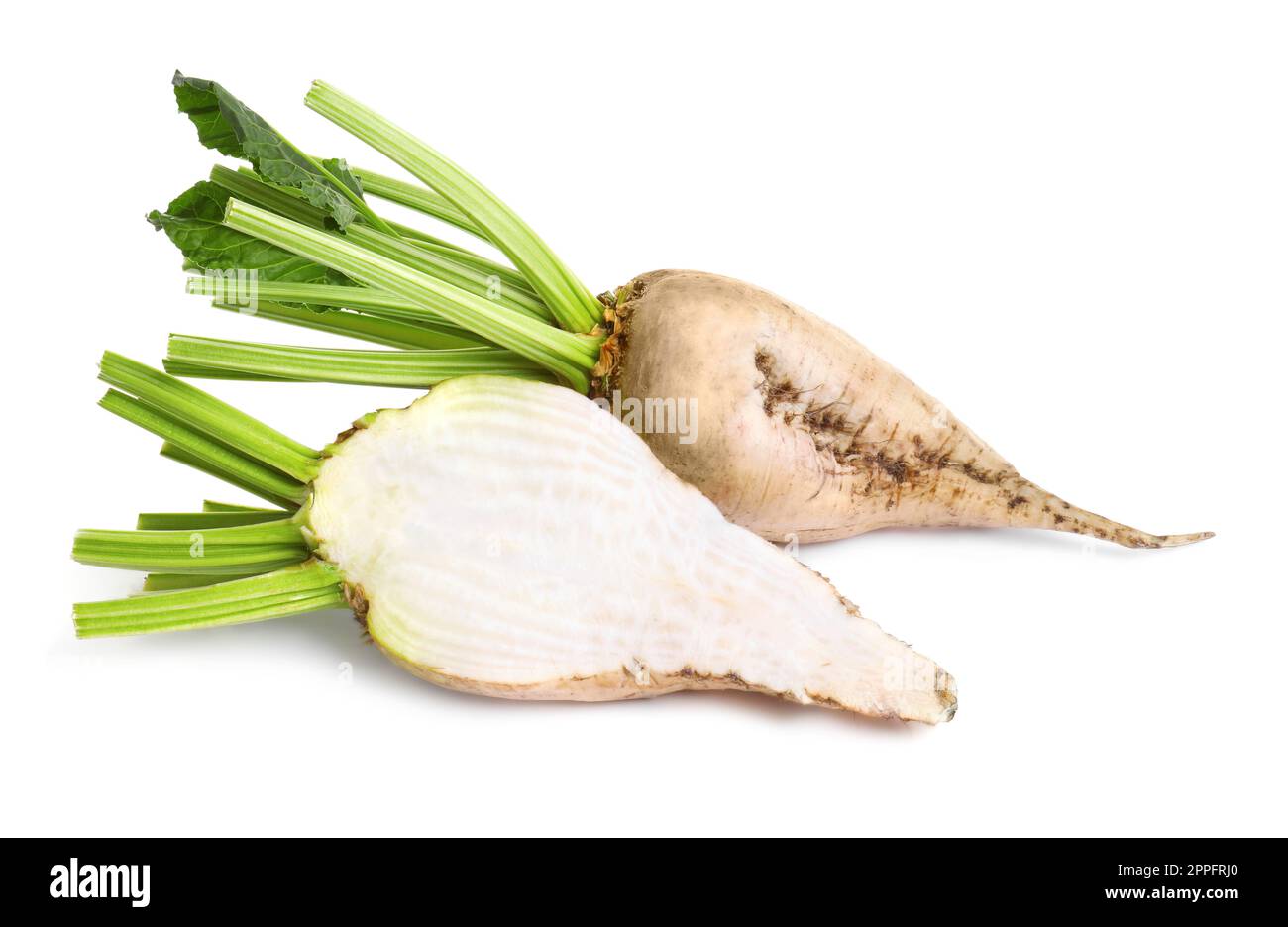 Whole and cut sugar beets on white background Stock Photo - Alamy