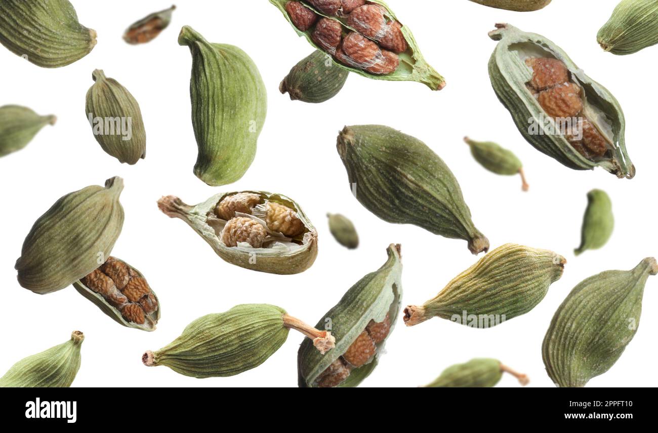 Dry green cardamom pods with seeds falling on white background Stock ...