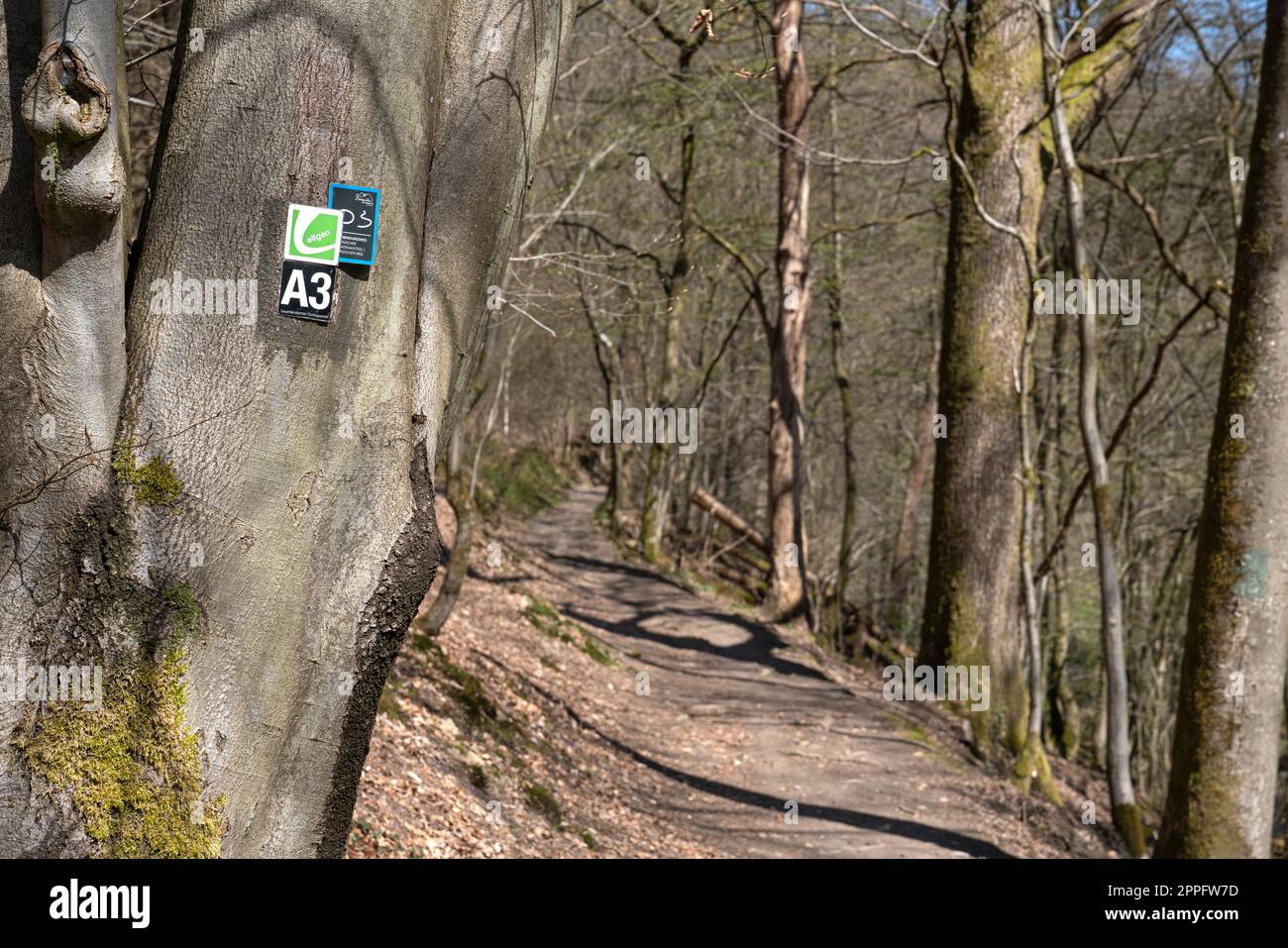 Waymark of Eifgenbachweg close to Odenthal, Germany Stock Photo - Alamy