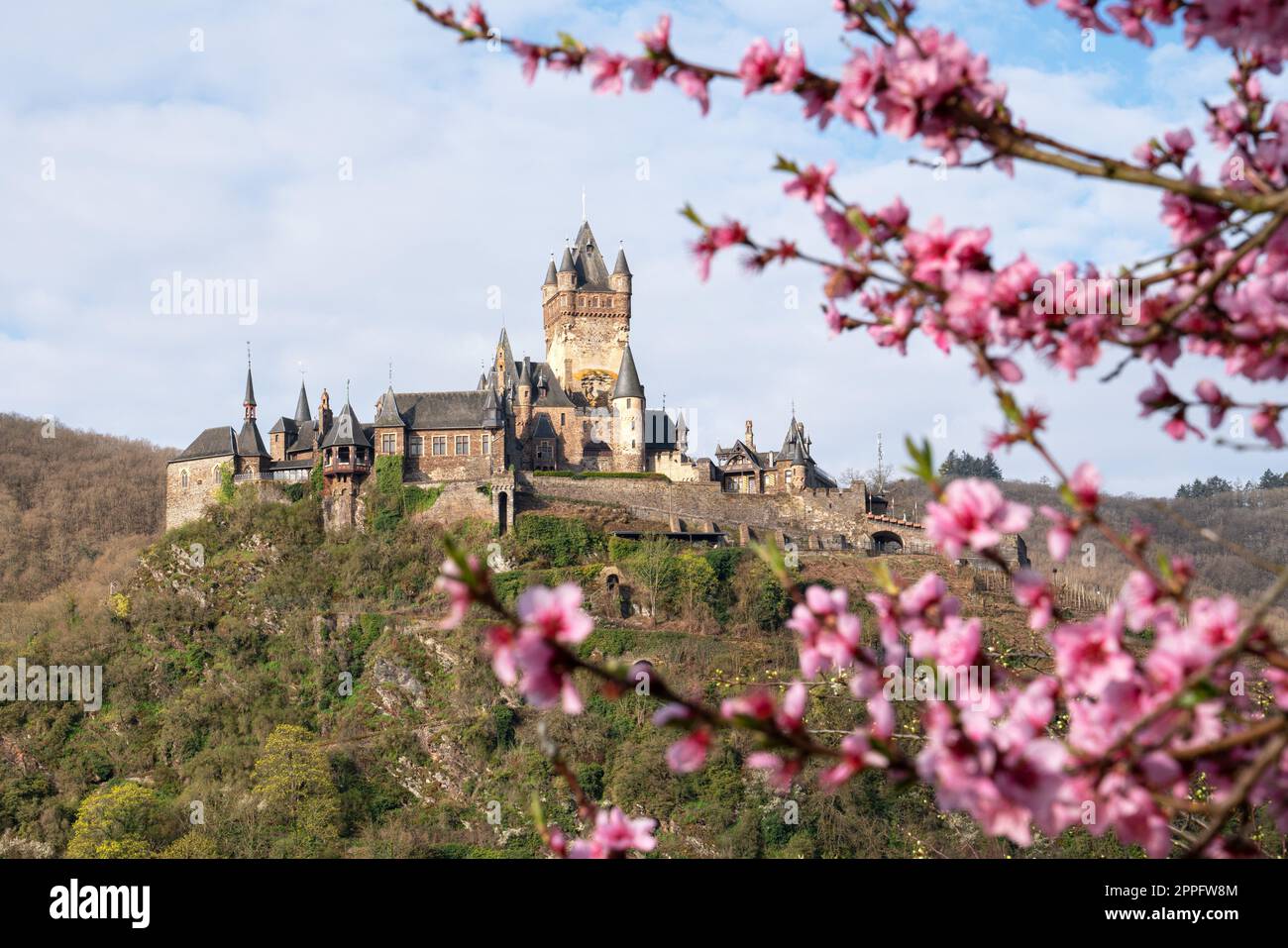 Peach tree point hi-res stock photography and images - Alamy