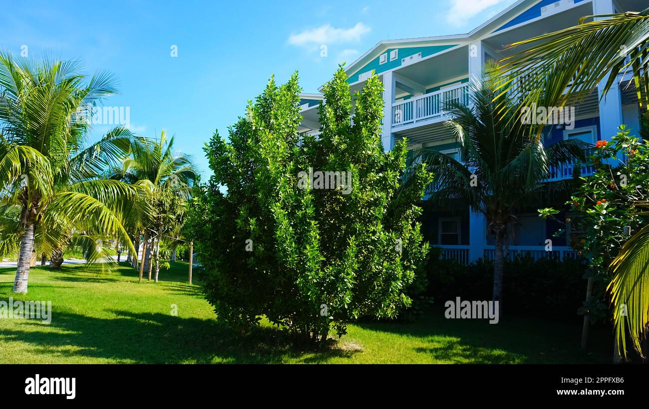 Beach on Ocean Cay Bahamas Island with a colorful houses and turquoise ...