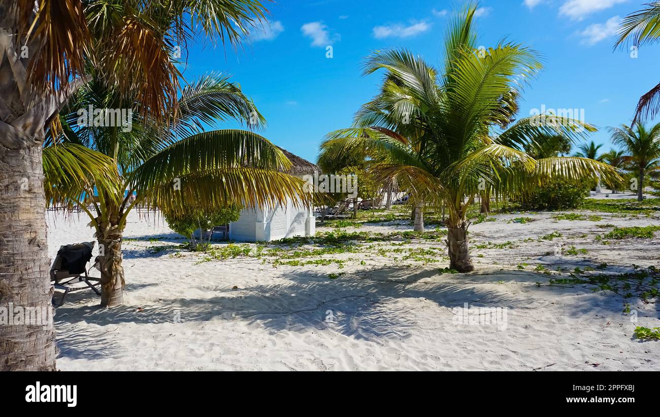 The white sand beach on Ocean Cay island Stock Photo - Alamy