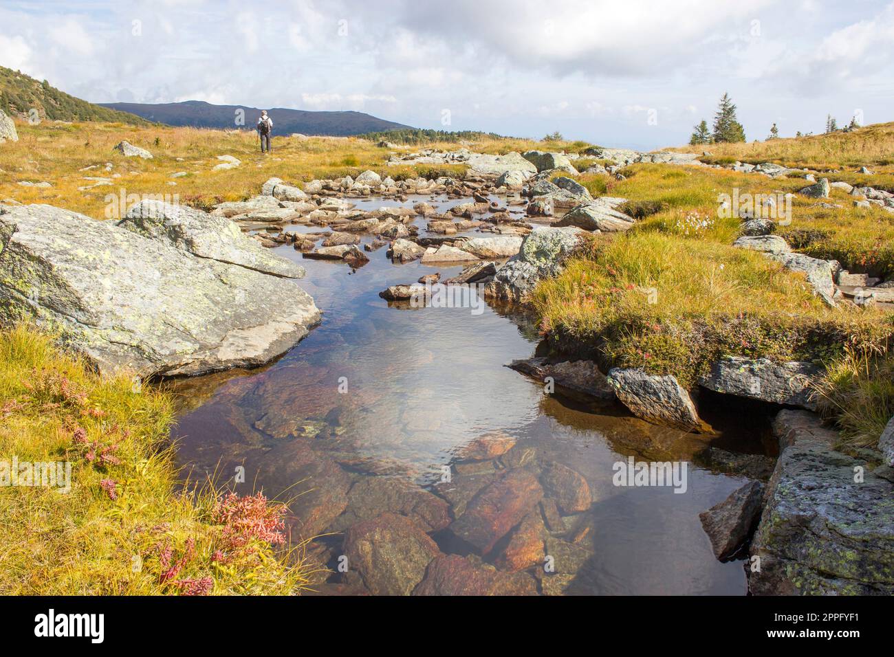 A clear mountain stream on the green meadows in the Austrian Alps Stock ...