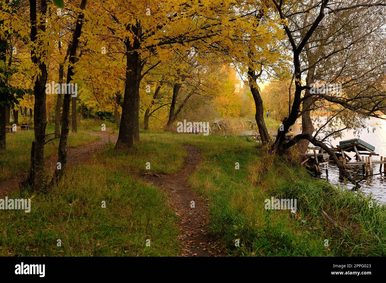 Colorful trees with pathway in autumn landscape in deep forest. The ...