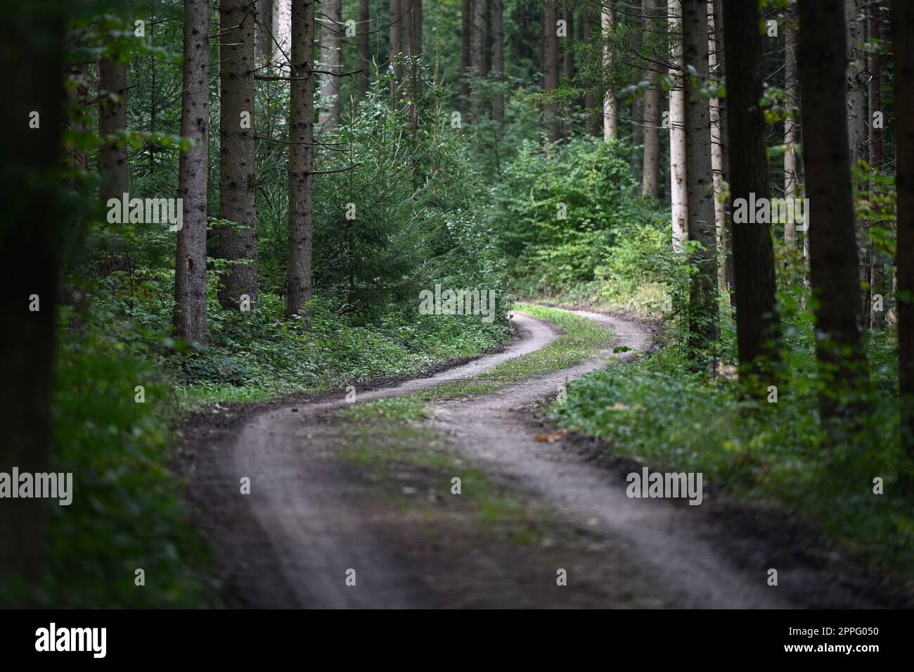 Frontal perspective hi-res stock photography and images - Alamy