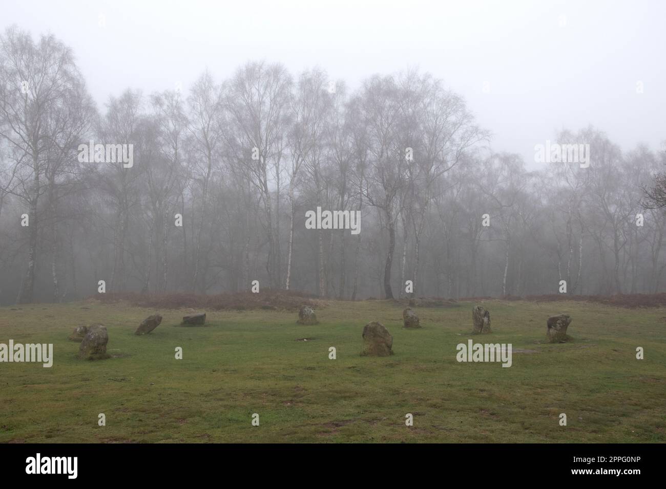 Nine ladies circle hi-res stock photography and images - Alamy