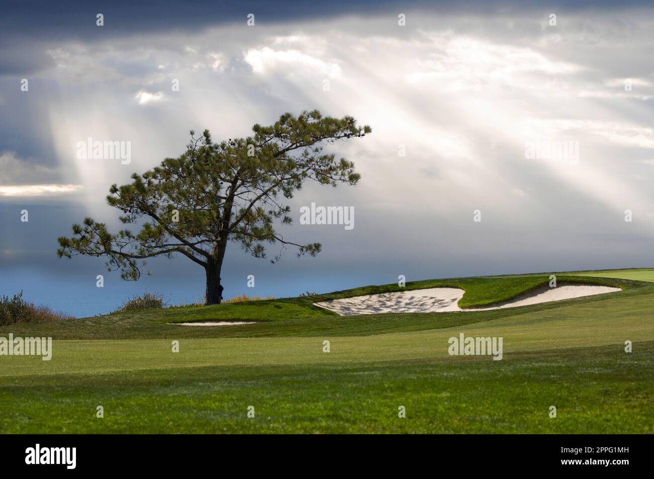 View Over The Pacific Ocean from Torrey Pines Golf Course Stock Photo ...