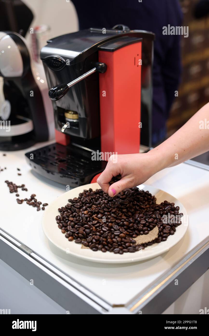 The barista checks the quality of the coffee beans before pouring them ...