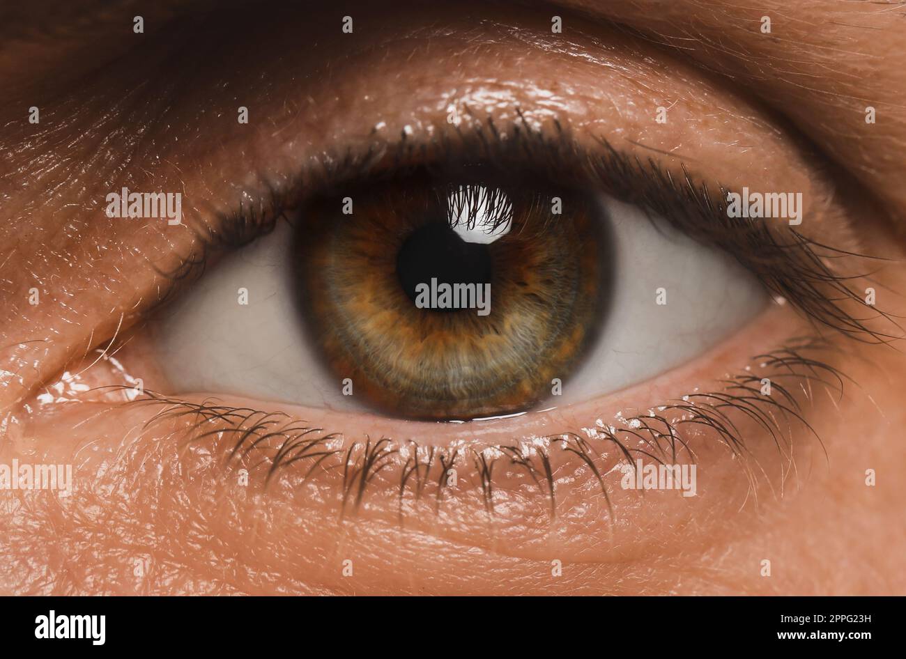 Open human eye bright hi-res stock photography and images - Alamy