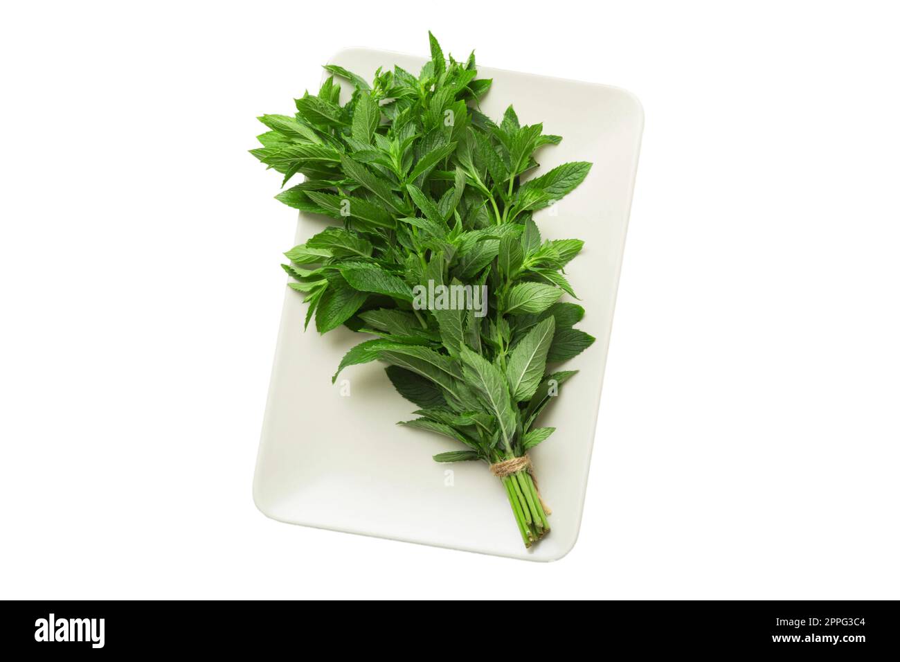 Fresh mint bunch on colored table. Top view isolated on white ...