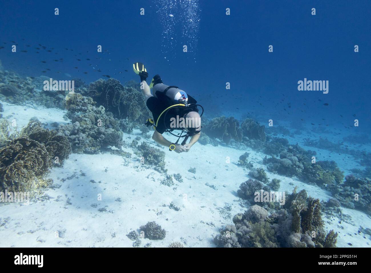 Single scuba diver over a coral reef, air bubbles, underwater landcape ...