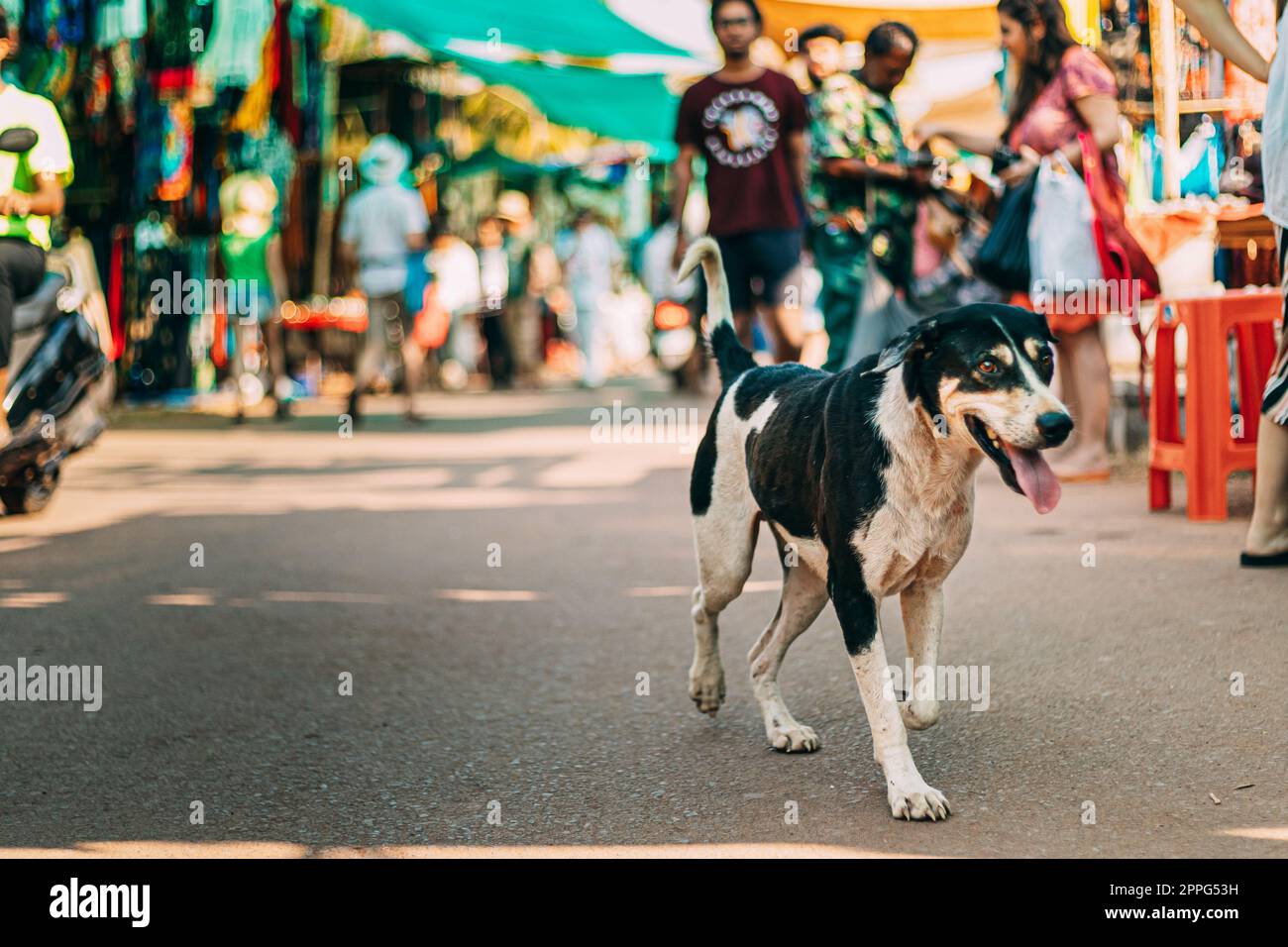 Walking asian market hi-res stock photography and images - Alamy