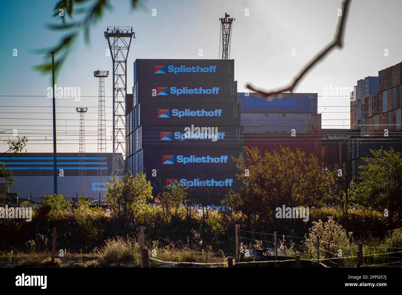 Spliethoff containers stacked in a container terminal in the port of ...
