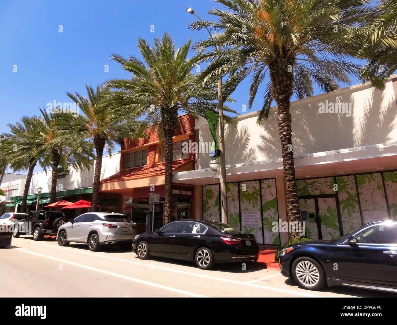 Modern apartment buildings with palm trees at Miami - view from road ...