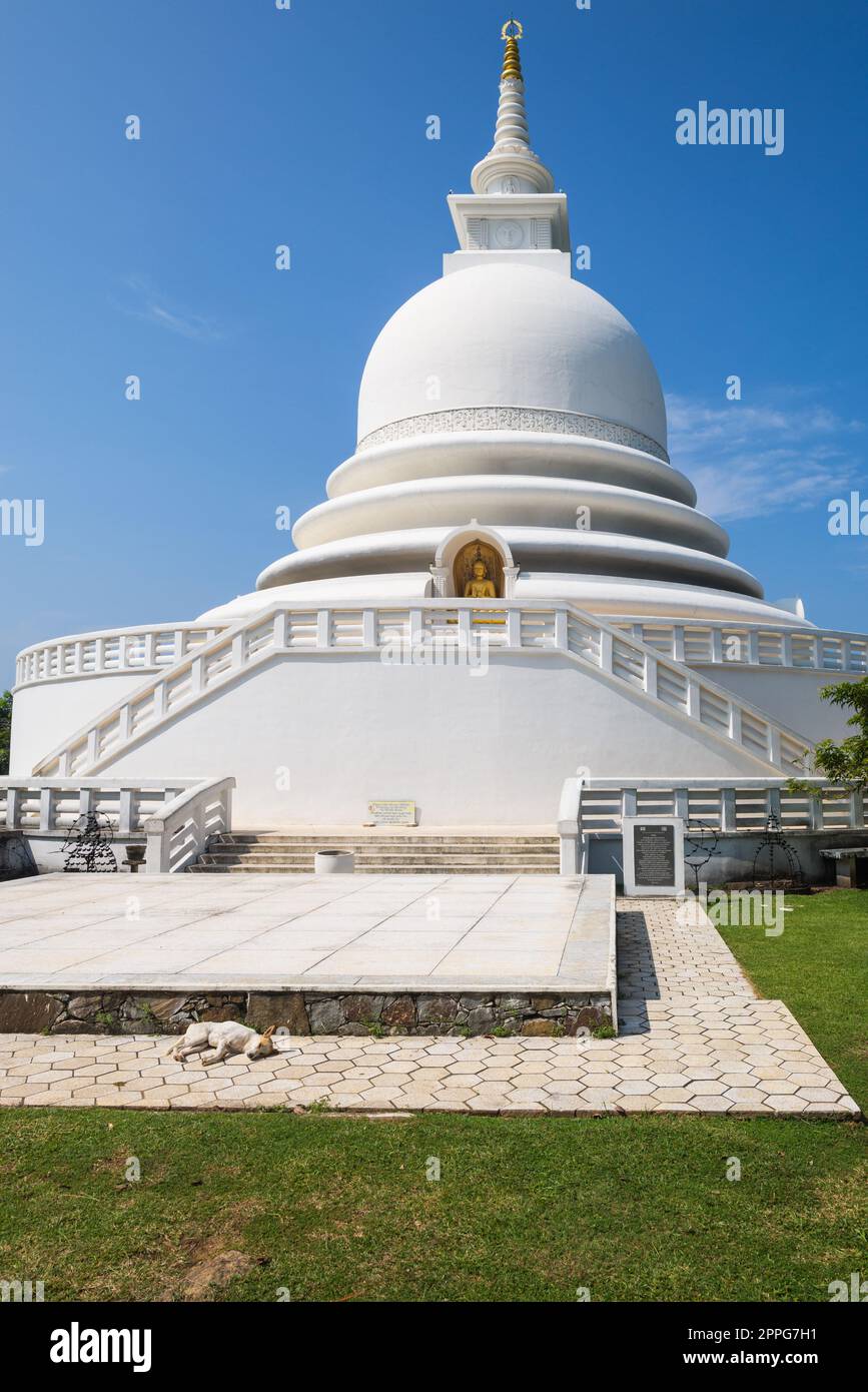 The Japanese Peace Pagoda on the Rumassala hill in Unawatuna in Sri ...