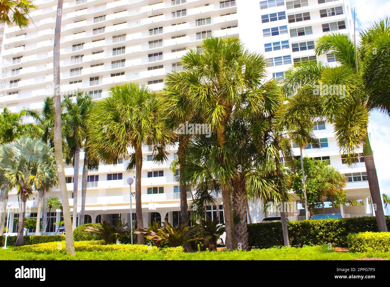 Modern apartment buildings with palm trees at Miami - view from road ...