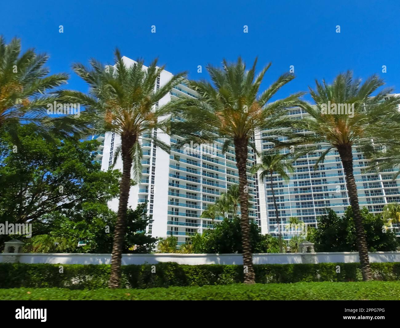 Modern apartment buildings with palm trees at Miami - view from road ...