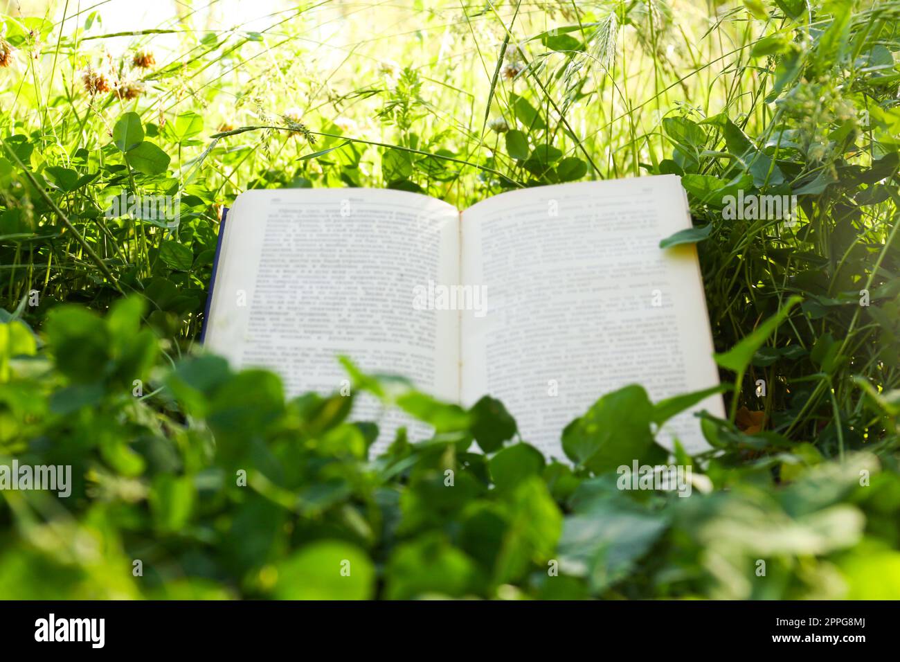 Open book on green grass in garden Stock Photo - Alamy