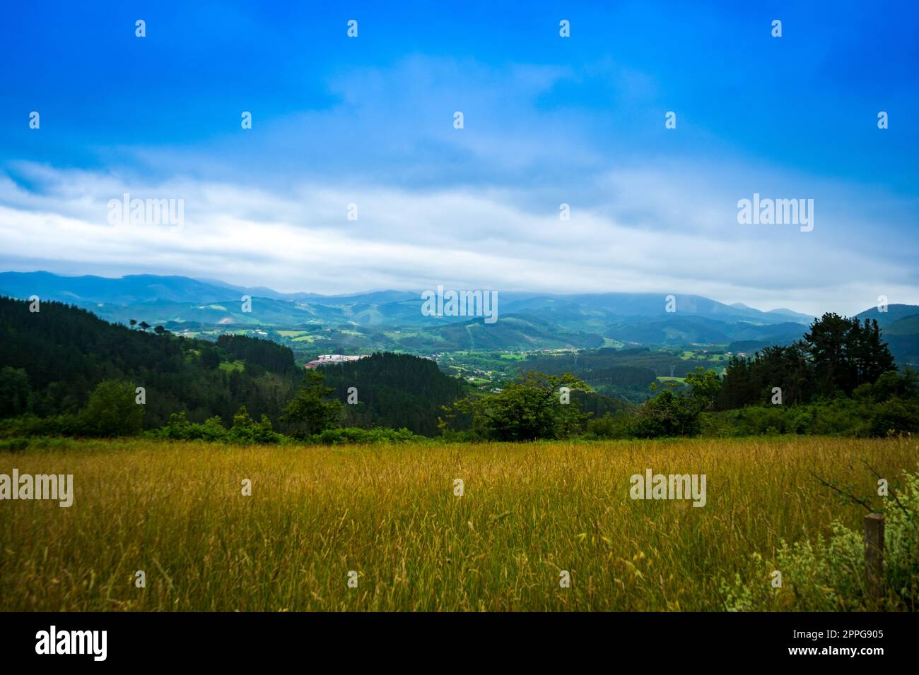 landscape in mountains. grassy field and rolling hills out of focus ...