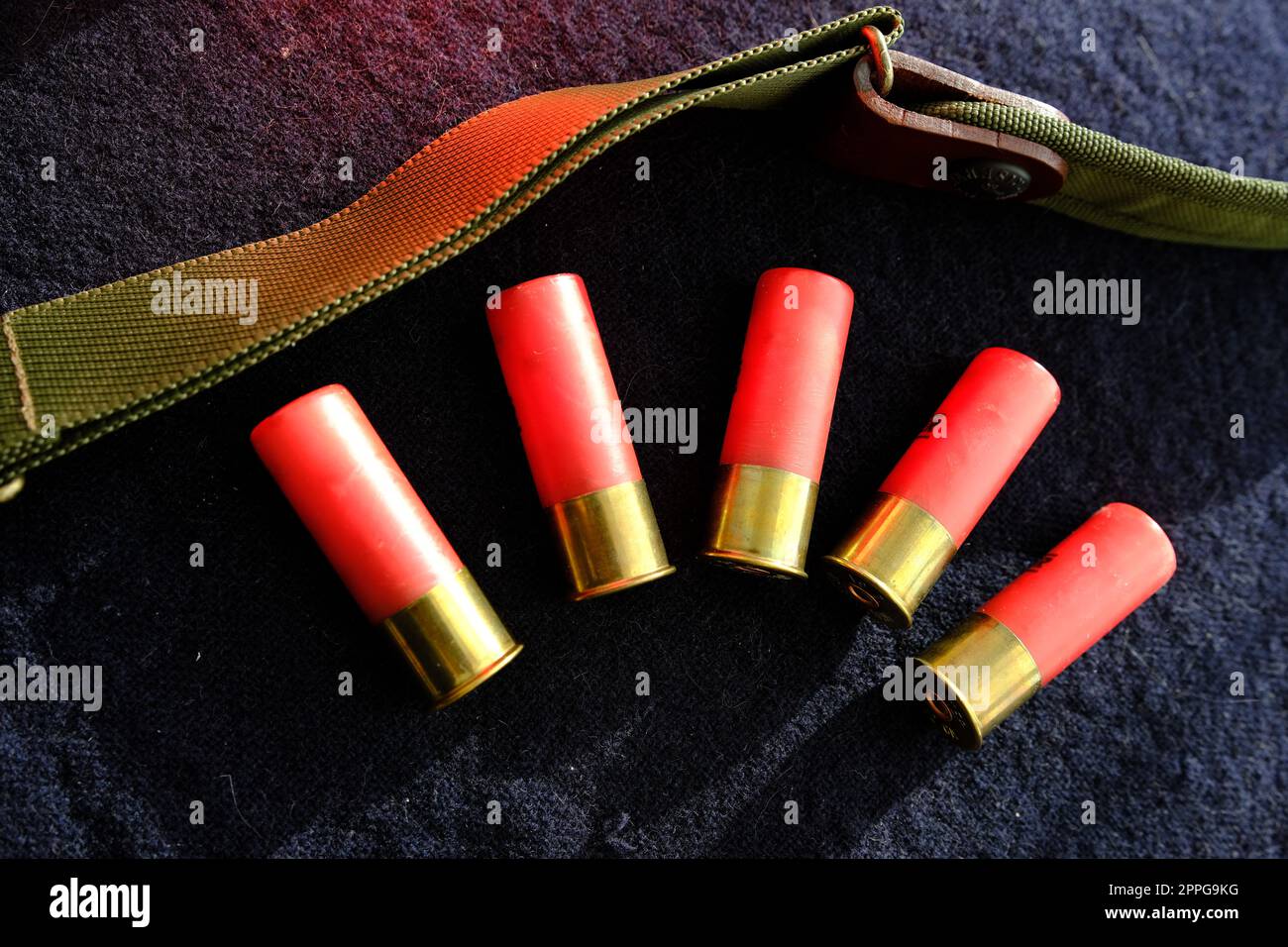 Shotgun shells on a black surface. Ammunition for 12 gauge smoothbore ...