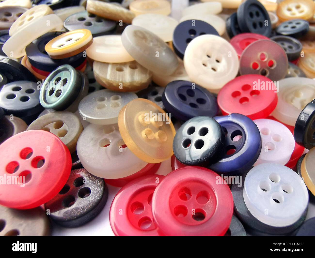 clothing buttons on white background Stock Photo - Alamy