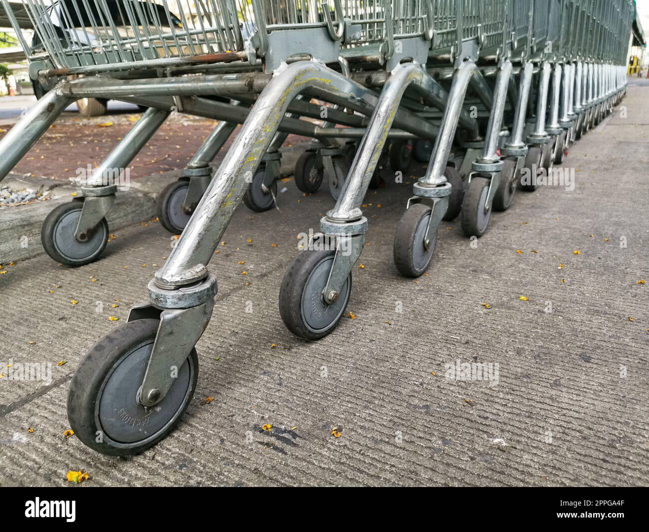 Row of shopping carts at supermarket entrance Stock Photo - Alamy