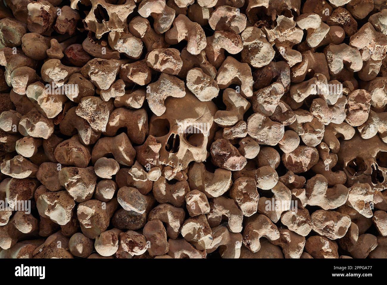 Skulls and bones in a wall Stock Photo - Alamy