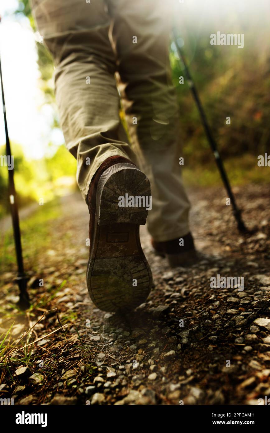 Hiker man with trekking sticks Stock Photo - Alamy Hiker man with trekking sticks Stock Photo - Alamy