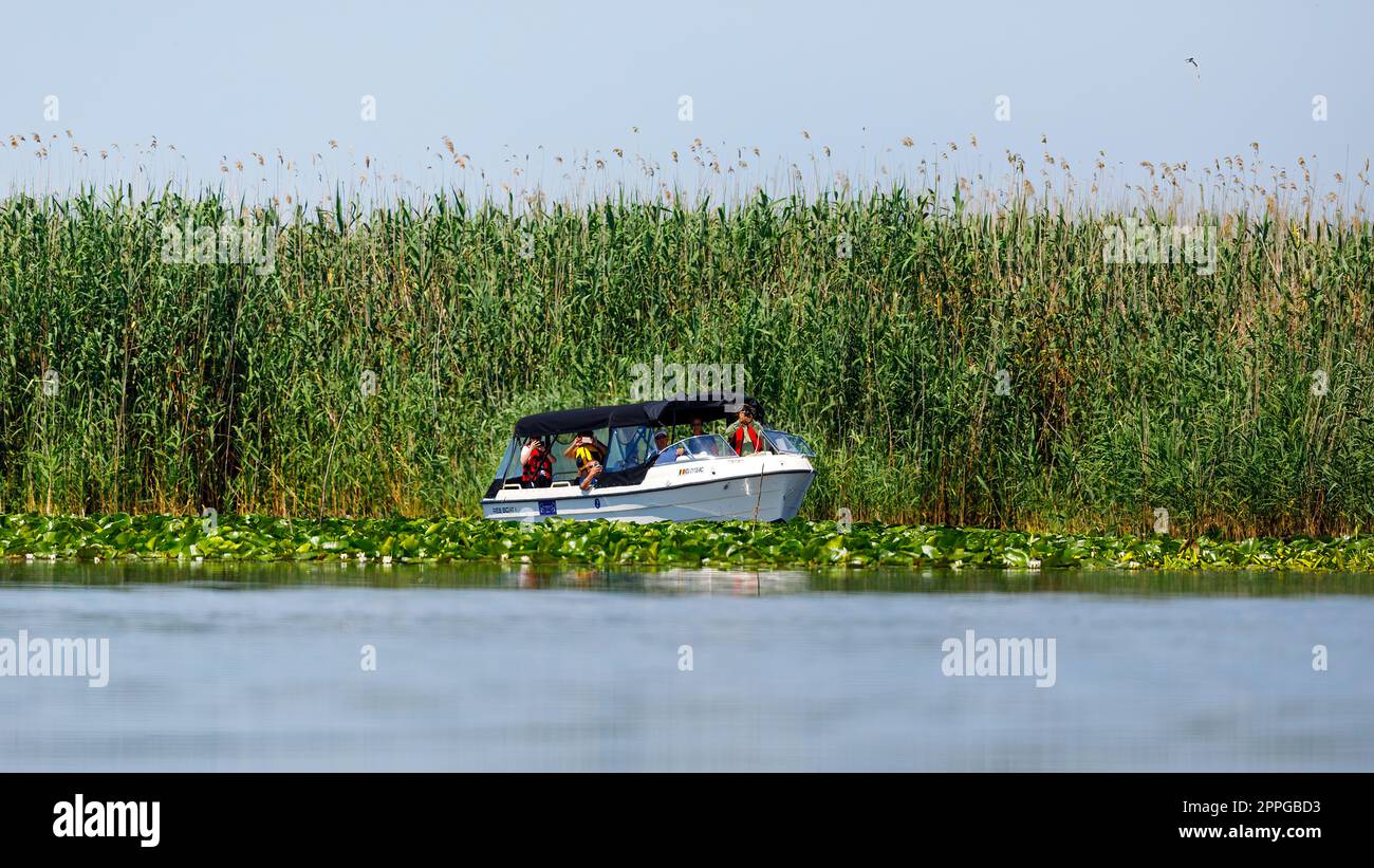 Fauna of the danube delta hi-res stock photography and images - Alamy