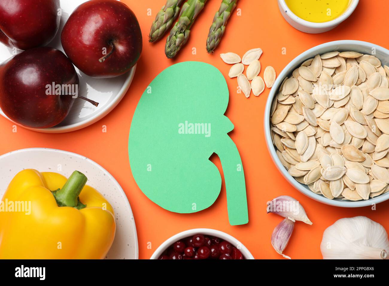 Paper cutout of kidney and different healthy products on orange ...
