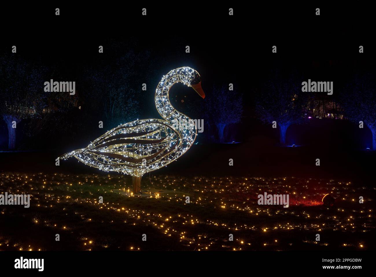 an illuminated Swan made of fairy lights at the Lumagica light ...