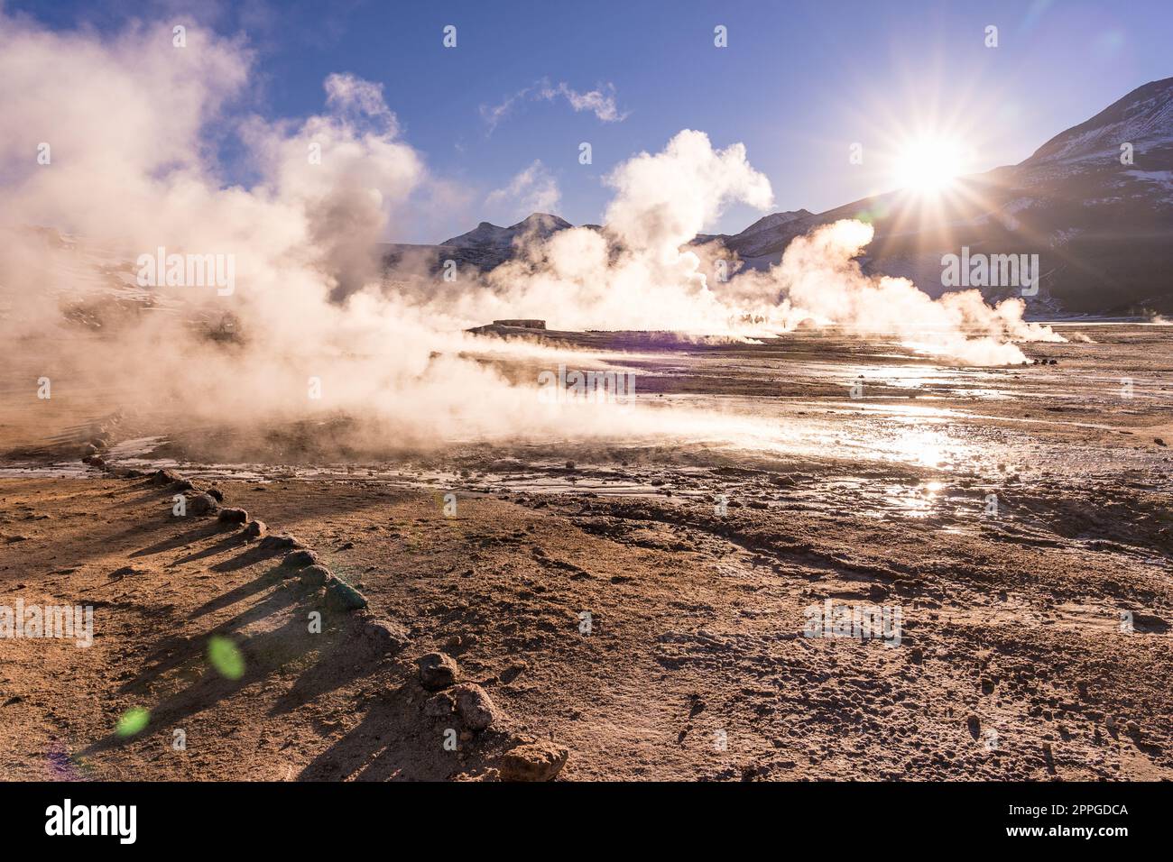 Sunrise at Geyser El Tatio, San Pedro de Atacama, Chile Stock Photo - Alamy