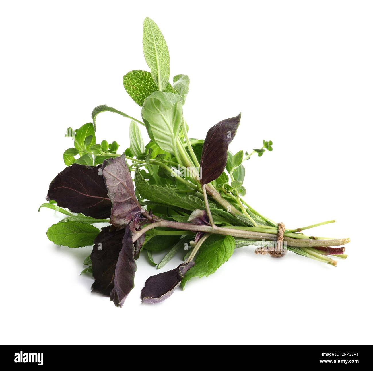 Bunch of fresh aromatic herbs on white background Stock Photo - Alamy