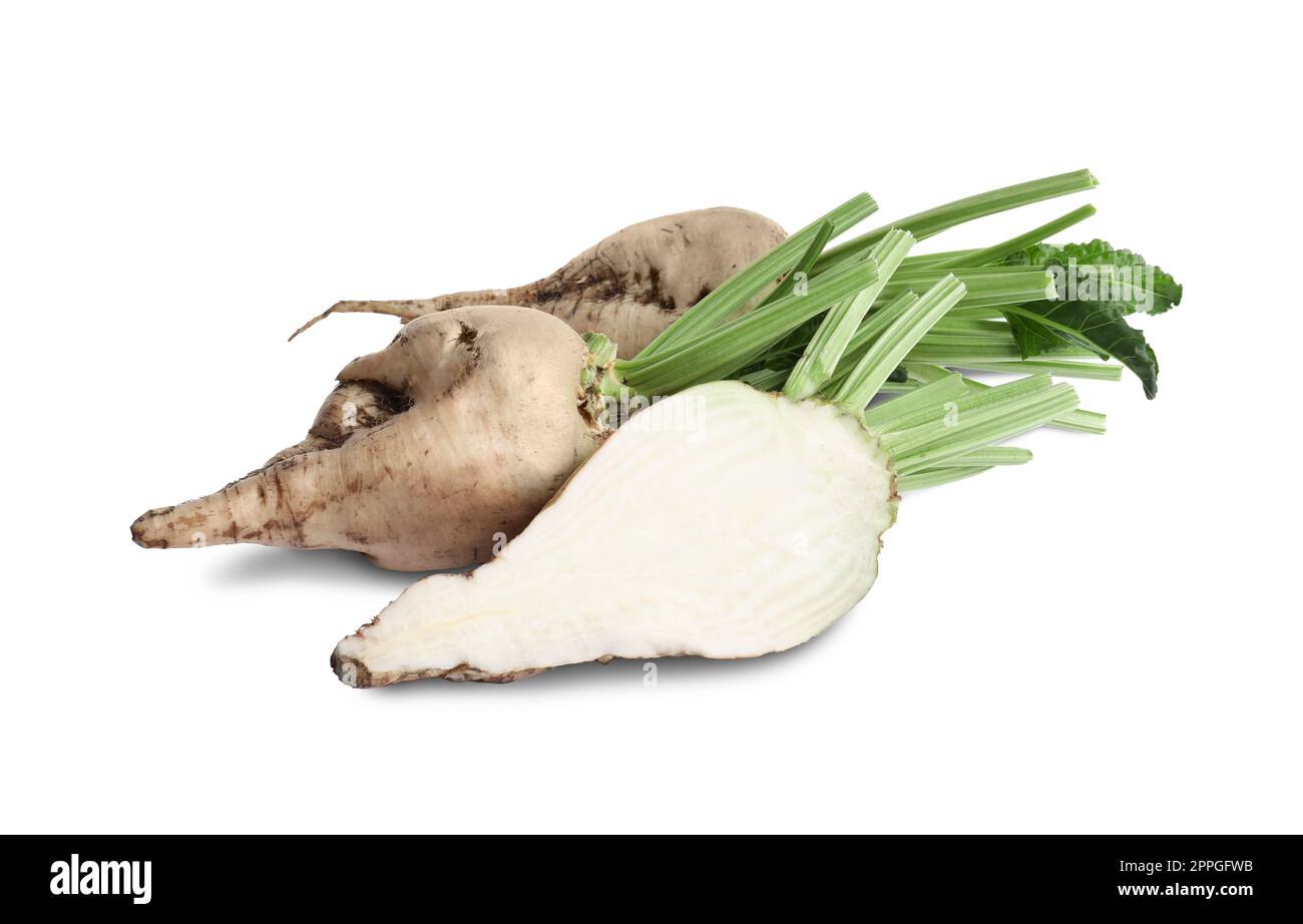 Whole and cut sugar beets on white background Stock Photo - Alamy